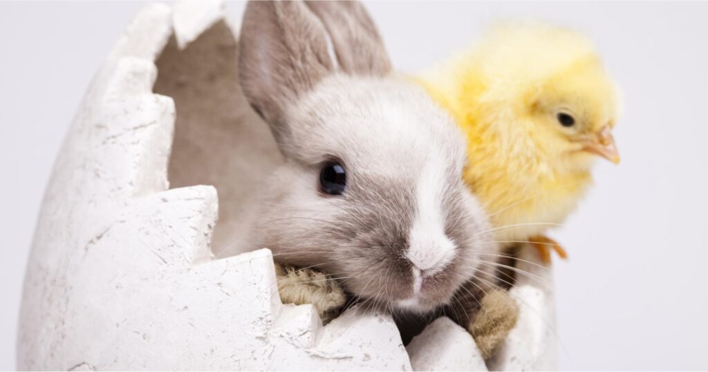 Celebrate Easter in the Outer Banks: Coastal Traditions & Springtime Joy